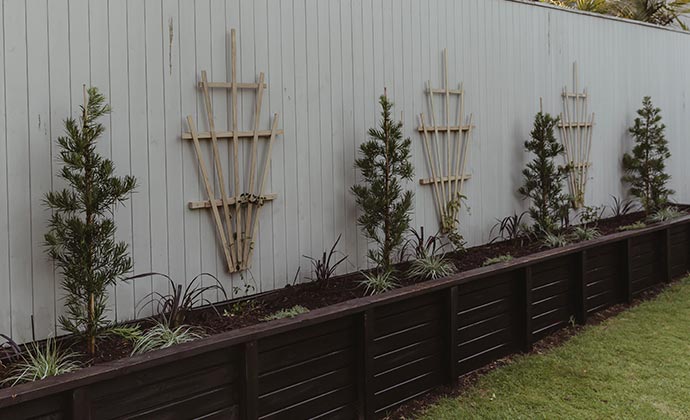 How to Create a New Zealand Native Garden - Gardening Guide | Mitre 10