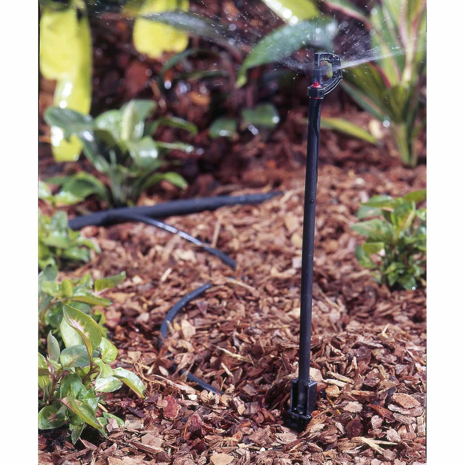 Neta Micro Sprinkler - Irrigation Systems | Mitre 10™