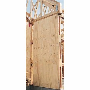 Ecoply DD Structural Plywood F8/F8 Untreated - Plywood | Mitre 10™