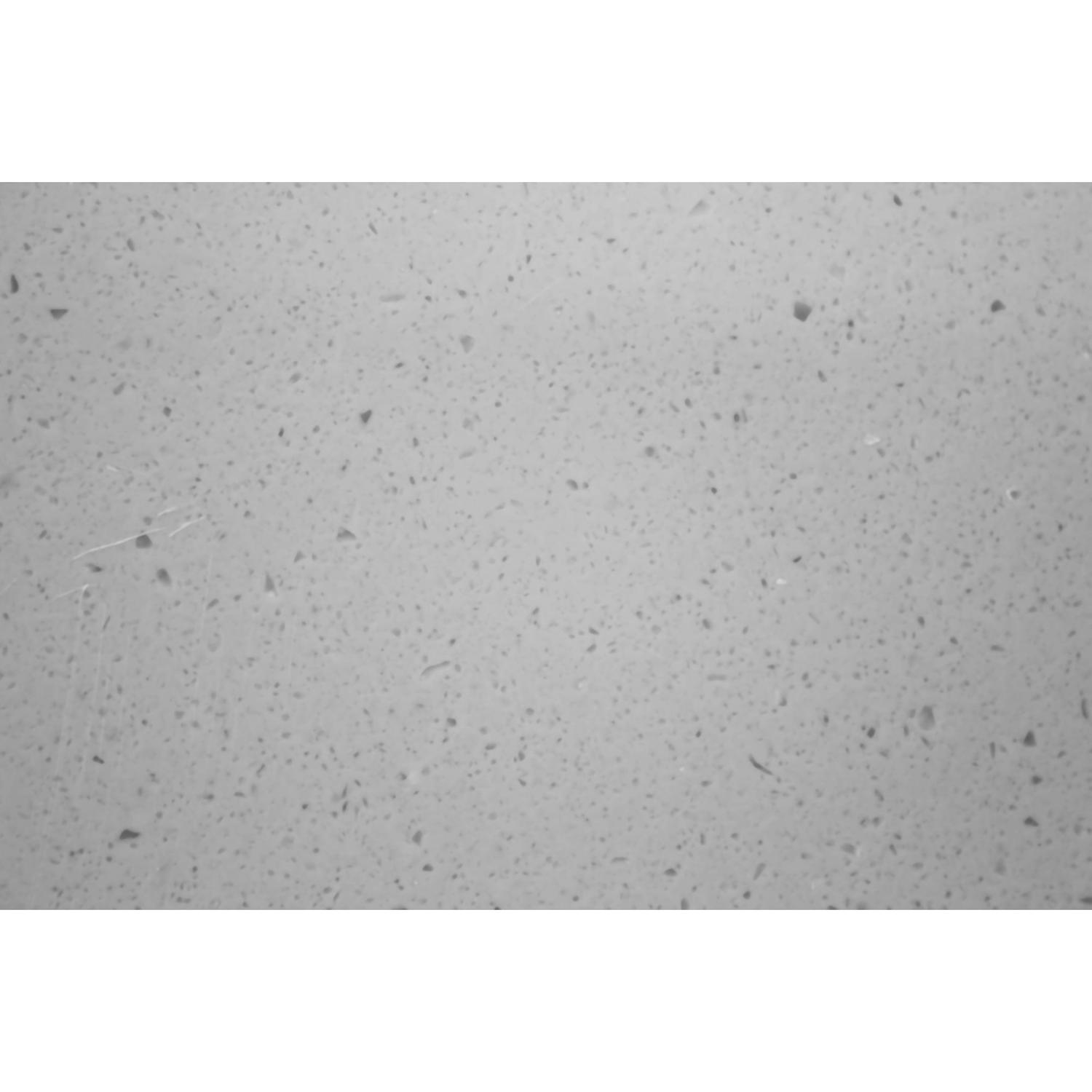 Mirostone Vanity Benchtop - Basins | Mitre 10™