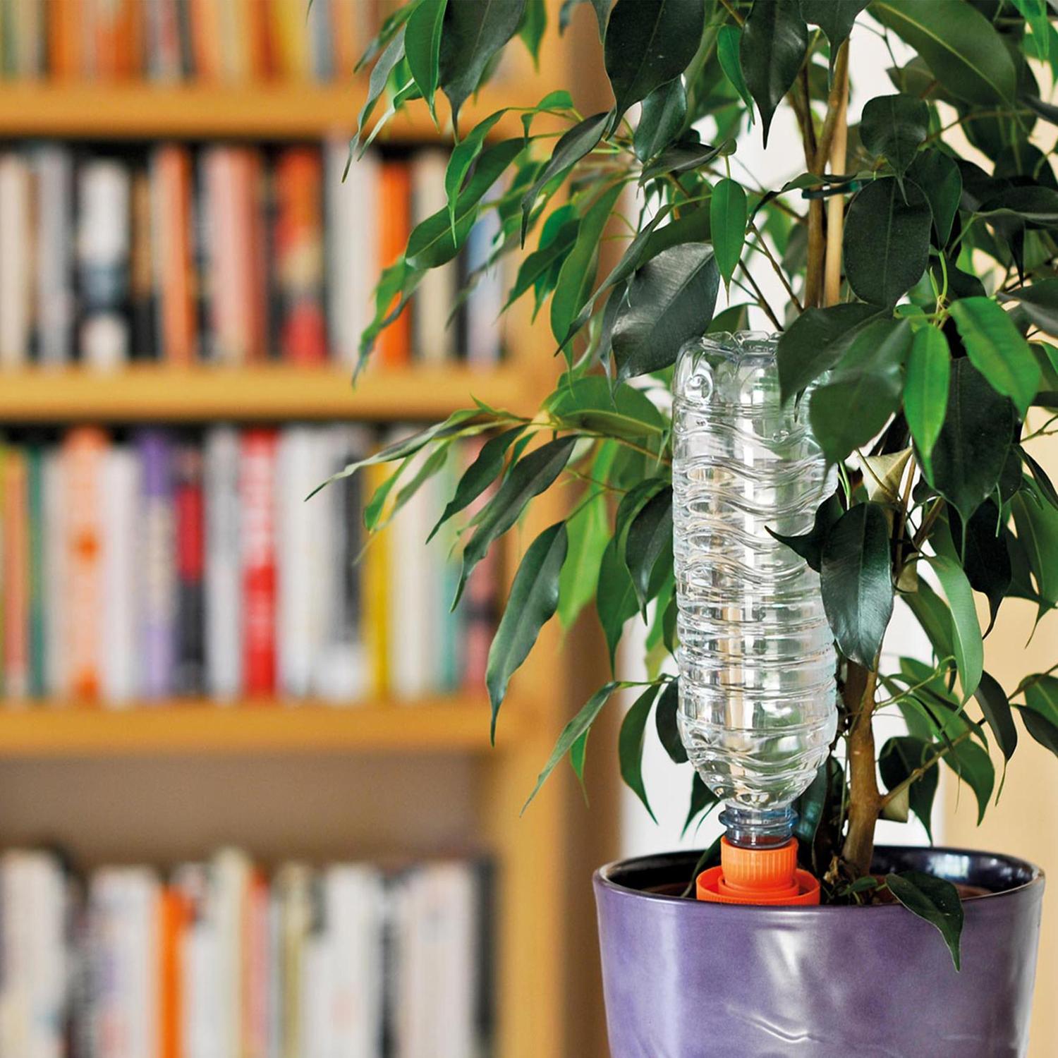 Hozelock Watering Cone - Irrigation Systems | Mitre 10™