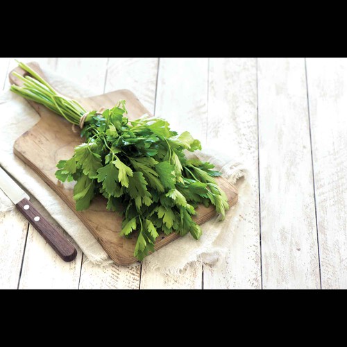 Parsley Italian Pack of 6
