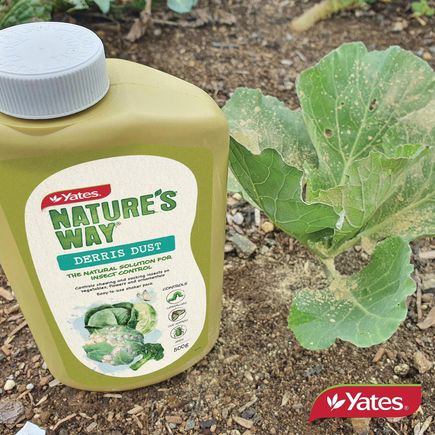 Yates Derris Dust - Garden Pest & Disease Control | Mitre 10™